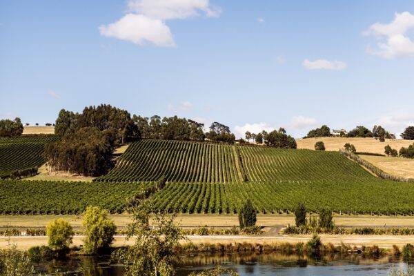 Exploring Tasmania's stunning Tamar Valley