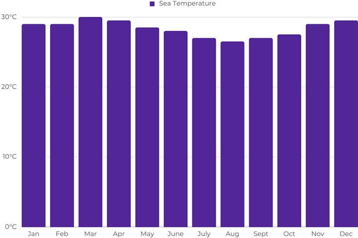 Bali Weather & Climate: By Month, Temperatures, Rainfall and More