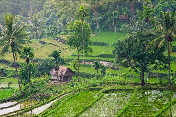 Guide to Lombok: How to Get There, Things to Do, Where to Stay and more!