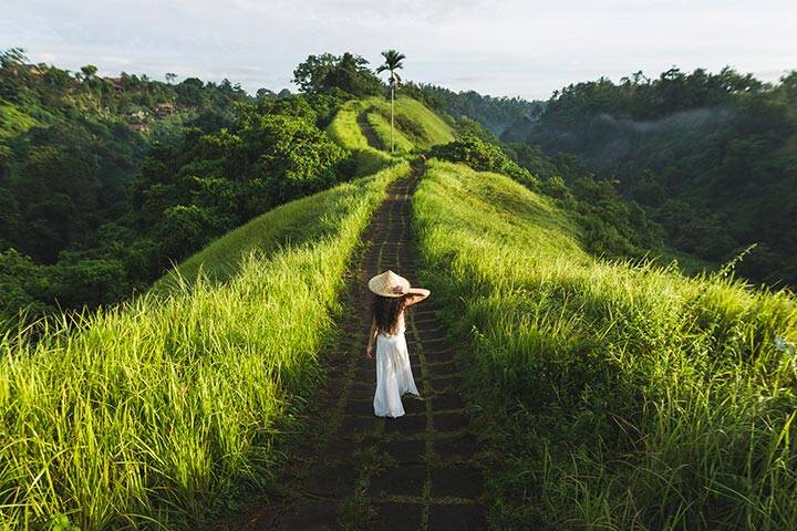 Guide to Ubud: Things to Do, Where to Stay, Food, Drink and more!