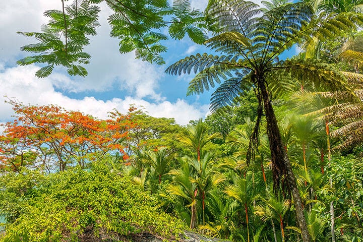 20+ things to do in Fiji: The ultimate guide for first-timers