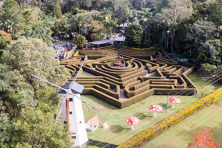 20 best things to do in Sunshine Coast - the ultimate guide