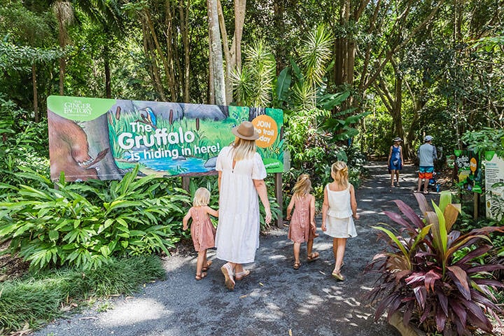 20 best things to do in Sunshine Coast - the ultimate guide