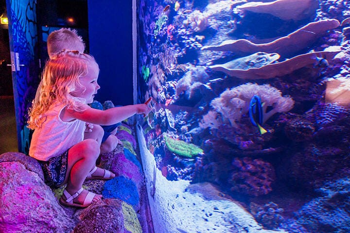 20 best things to do in Sunshine Coast - the ultimate guide