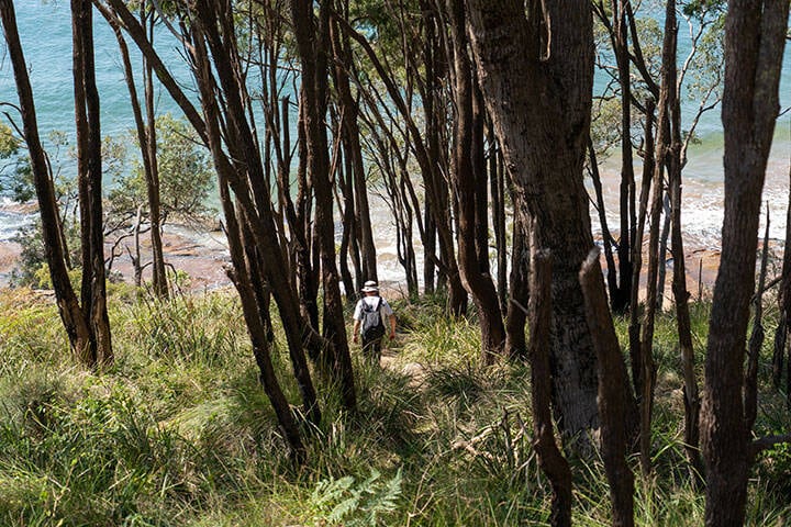 Best walks in Sydney 2025 – 20 scenic trails you can't miss