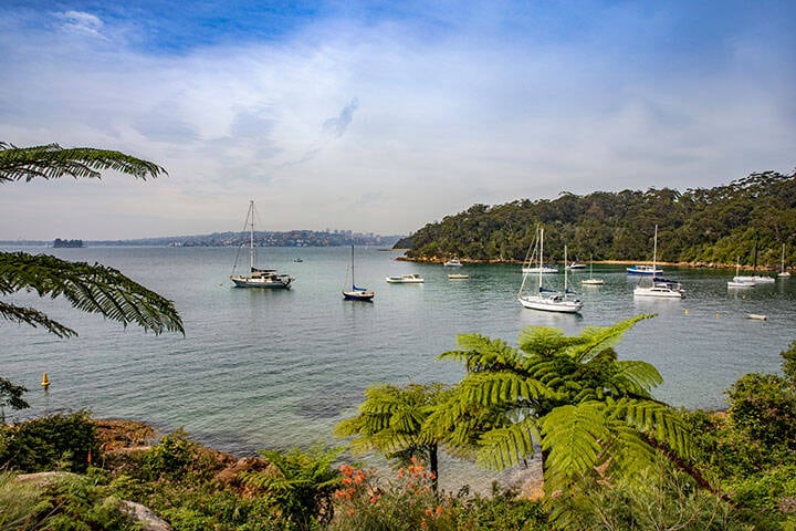 Best walks in Sydney 2025 – 20 scenic trails you can't miss