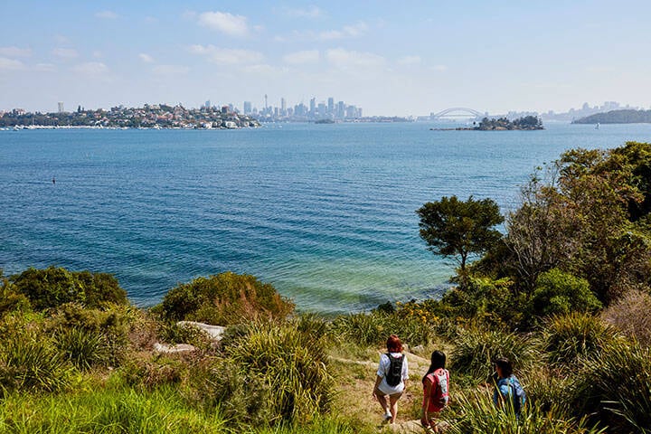 Best walks in Sydney 2025 – 20 scenic trails you can't miss