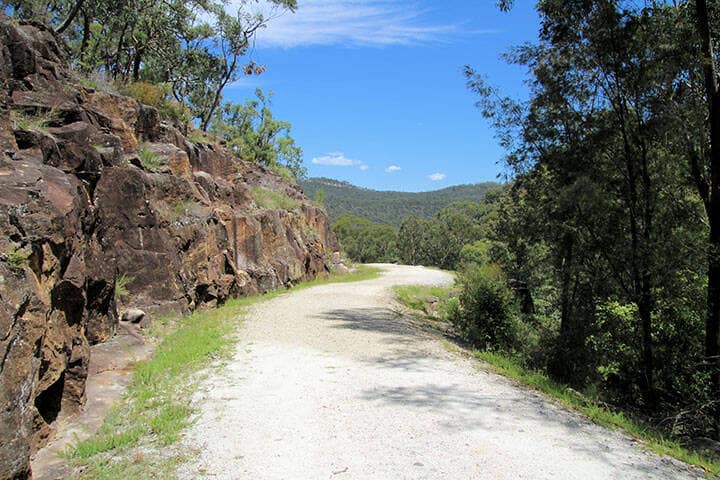 Best walks in Sydney 2025 – 20 scenic trails you can't miss