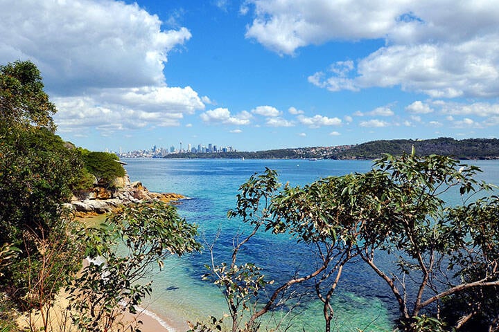 Best walks in Sydney 2025 – 20 scenic trails you can't miss