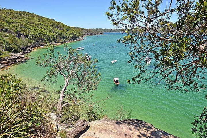 Best walks in Sydney 2025 – 20 scenic trails you can't miss