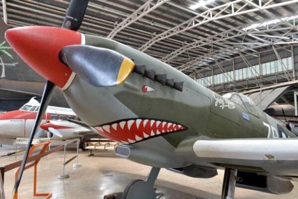 The best museums and galleries to visit in Darwin