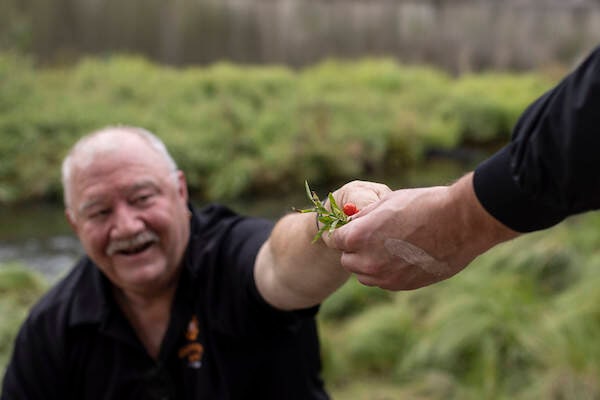 Southern Stars - the best Tasmanian landmarks to explore