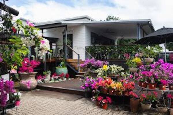 15 of the best foodie experiences in Cairns