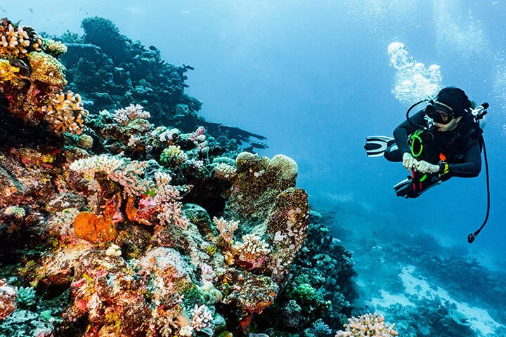 Tropical holiday destinations – 20 must-visit spots in 2026