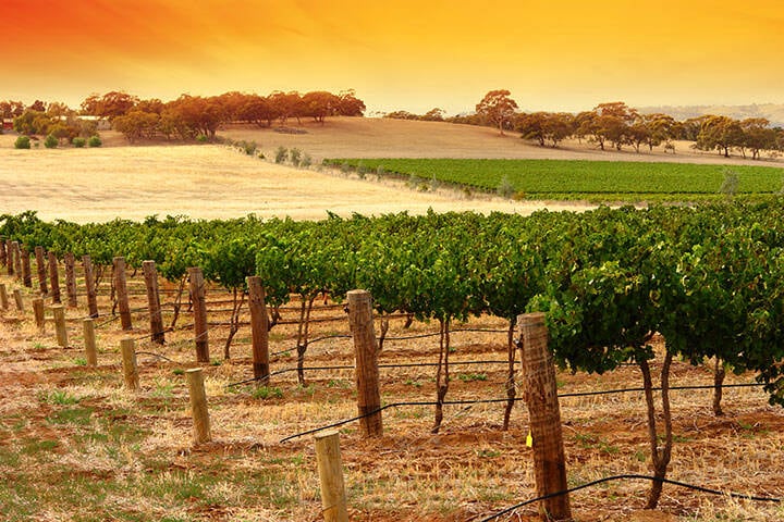 30 top things to do in Adelaide – a complete city guide