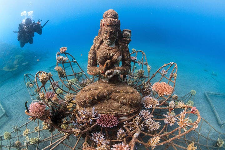 Diving in Bali: Best Dive Spots and Full Guide