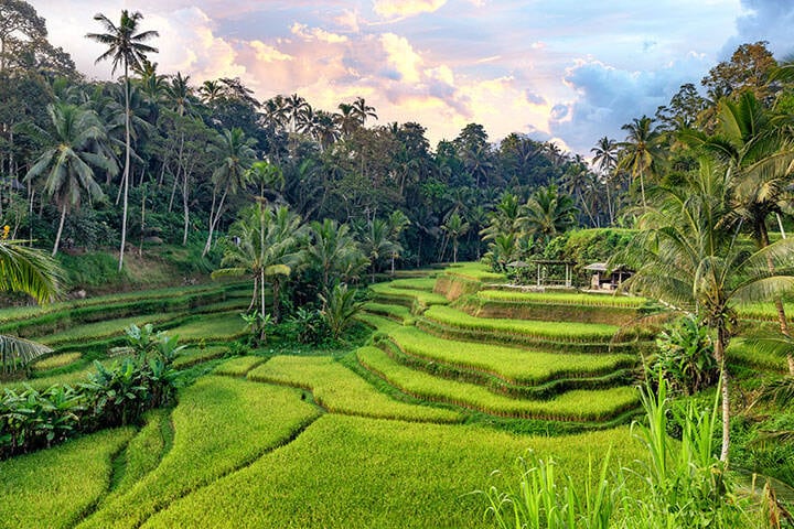 11 Best Bali Tours & Day Trips: Prices, Packages and Guide