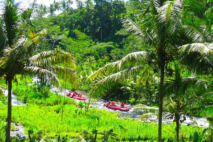 11 Best Bali Tours & Day Trips: Prices, Packages and Guide