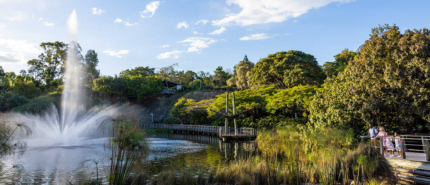 Top 20 Brisbane attractions to visit