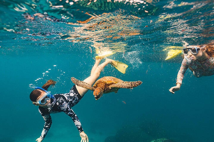 16 best family holiday destinations in Australia and overseas